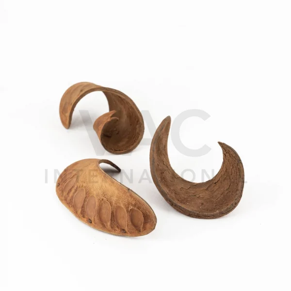 Elephant Ear – Vac International