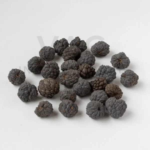 Mini Ata Fruit – Vac International