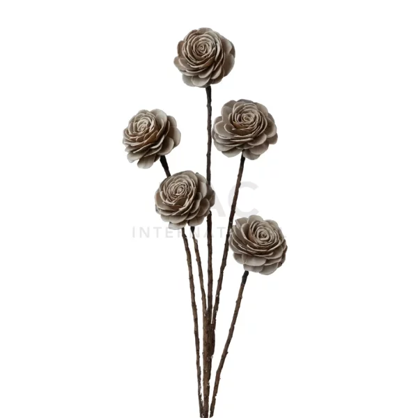 Sola Beauty Rose With Skin On Shanu Stem – Vac International