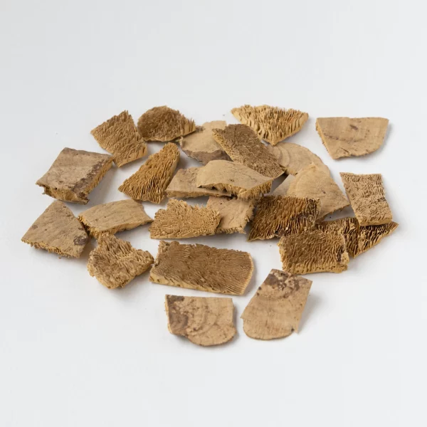 Sponge Cutting – Vac International