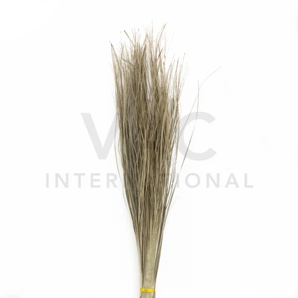 Strip Grass – Vac International